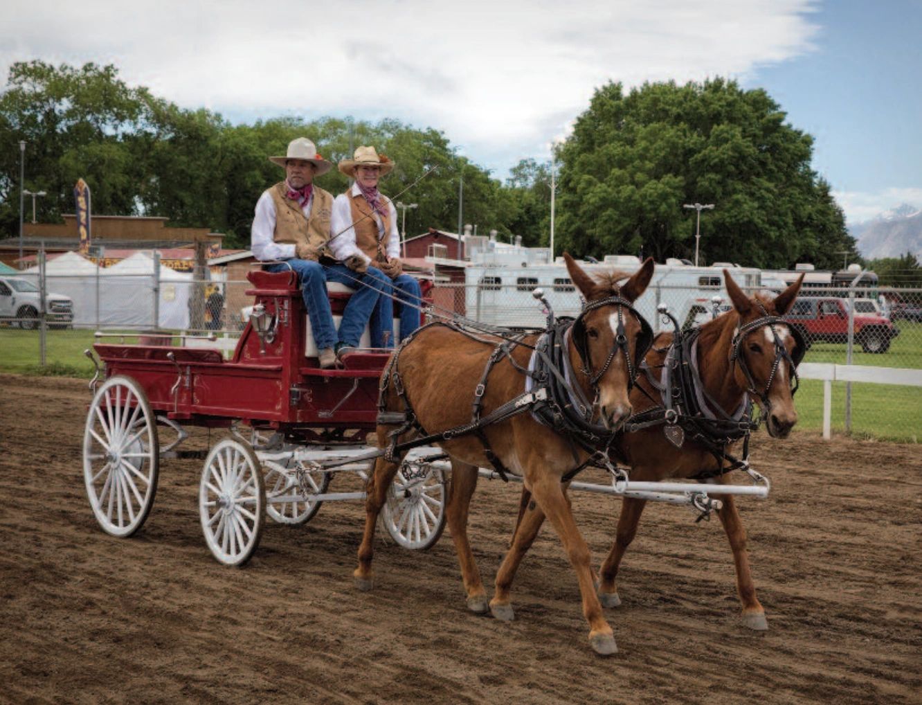 Ralph Atkinson - World Champion Teamster with Hall of Fame Mules.